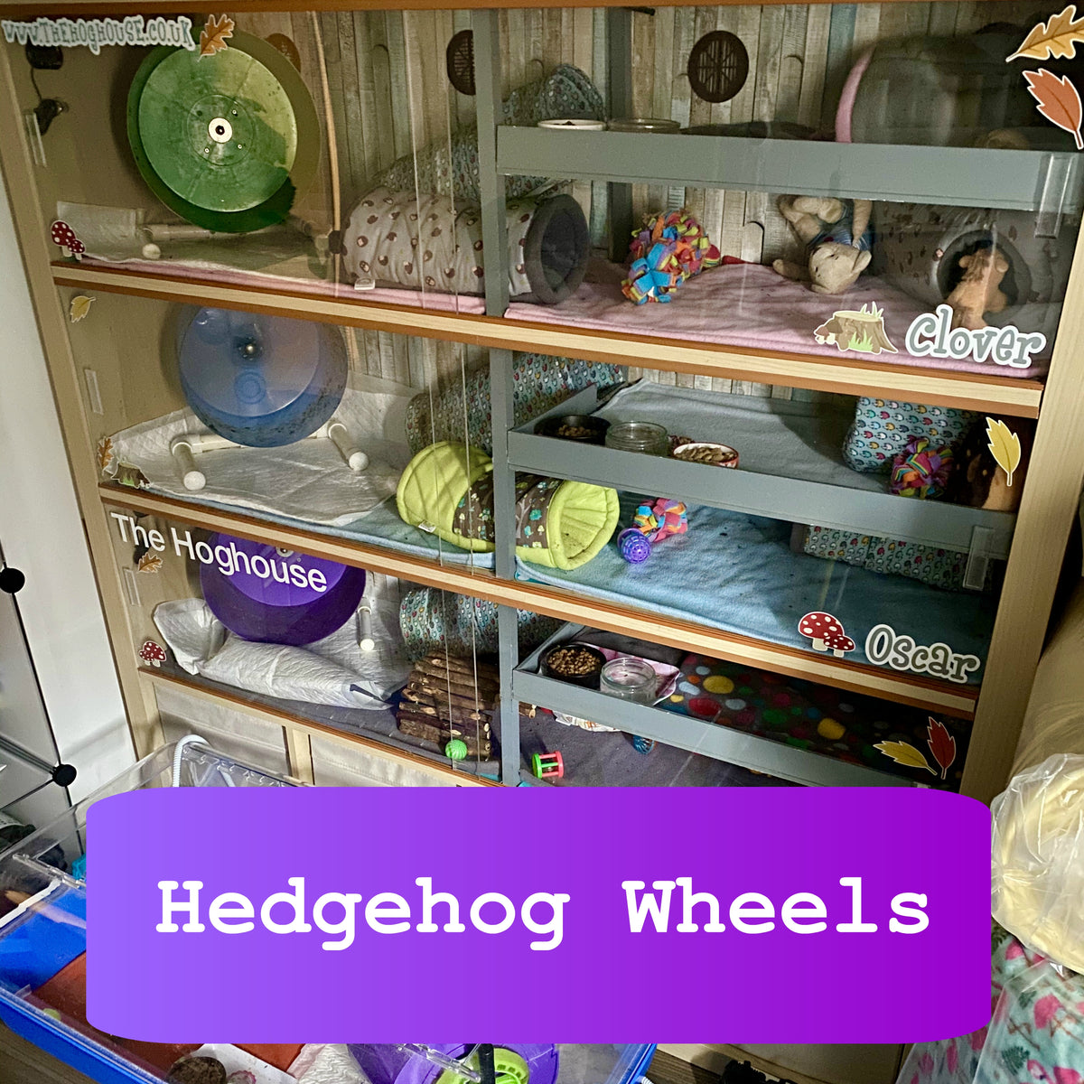 What is the best wheel for your hedgehog? – The Hoghouse