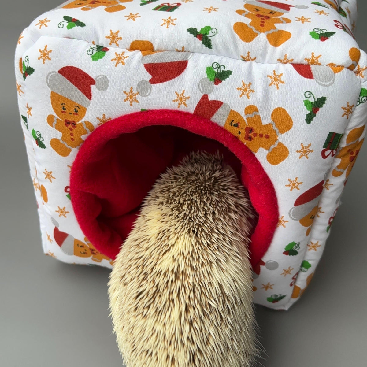 Christmas gingerbread man cosy cube house. Hedgehog and guinea pig cub ...