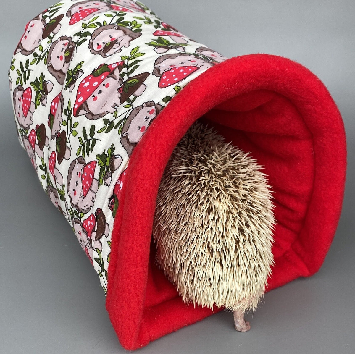 Cream Hedgehogs with Mushroom Hats bunker. Hedgehog and guinea pig bed ...