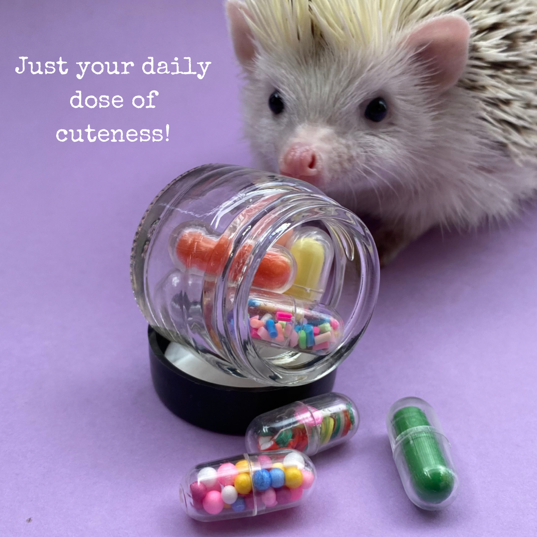 Mini pill photo props. Medication photo props. – The Hoghouse