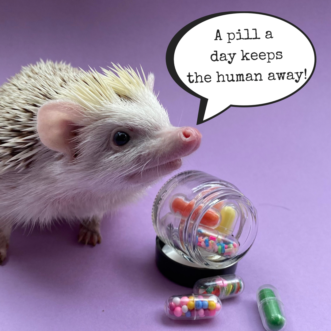 Mini pill photo props. Medication photo props. – The Hoghouse